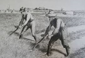 Solidariteit extra 392-2, 13 oktober 2019: Trekarbeid vanuit Friesland ...